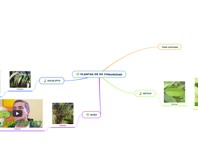 PLANTAS DE MI COMUNIDAD - Mind Map